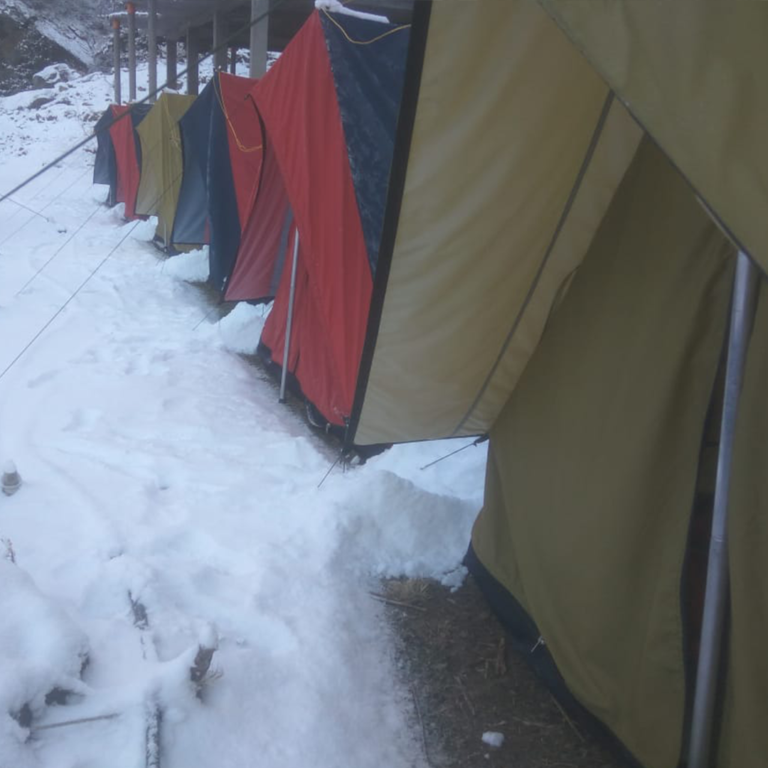 Alpine Tents: Your Ultimate Shelter in the Mountains