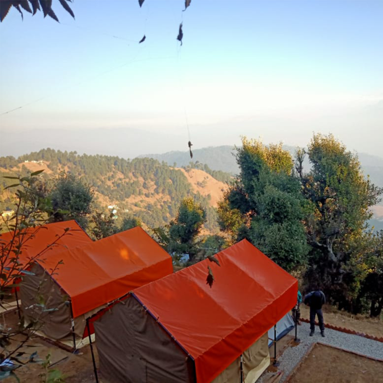 Safari Tents: Your Gateway to Luxury Camping-Don't Miss Out!
