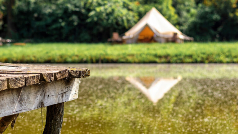 Camping Gazebo 101: Your Complete Guide to Outdoor Comfort